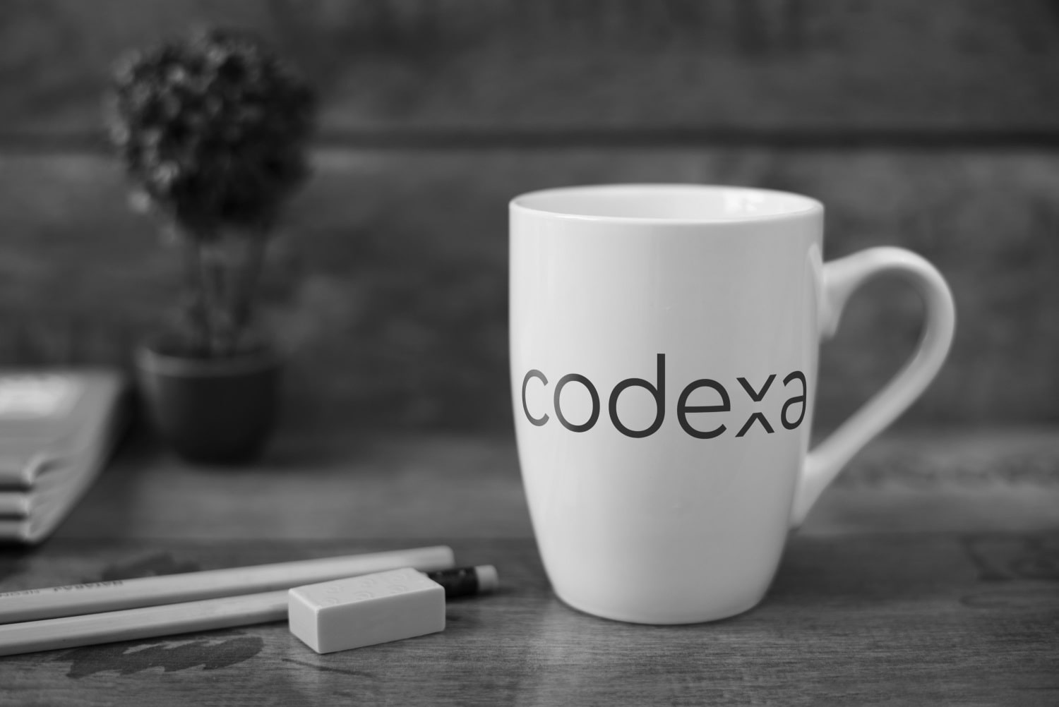 Nouveau logo, nouveau site, mais la même équipe pour vous servir